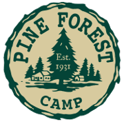 pine forest camp